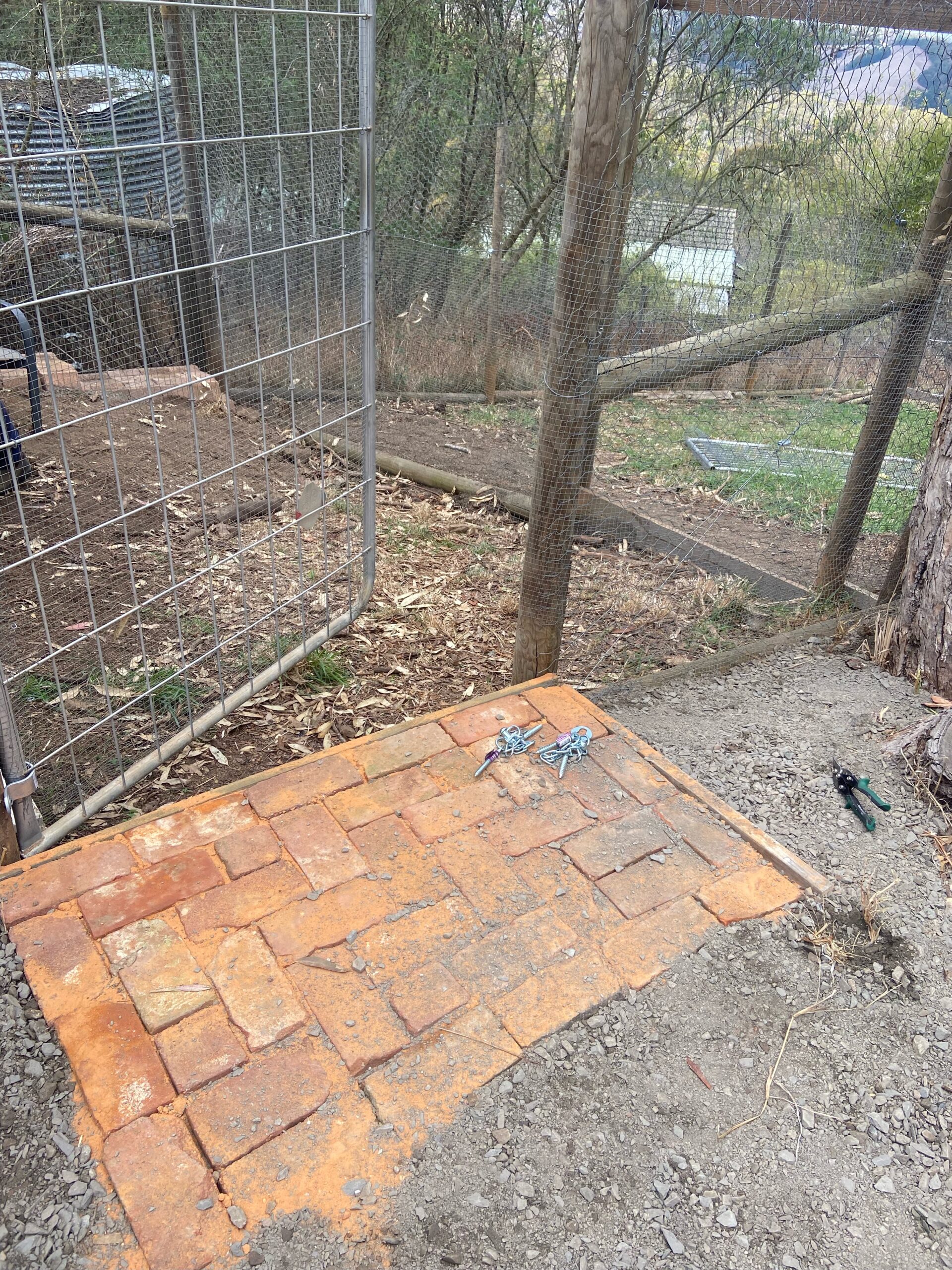 How to build a chicken run and coop from recycled materials - Homegrown ...